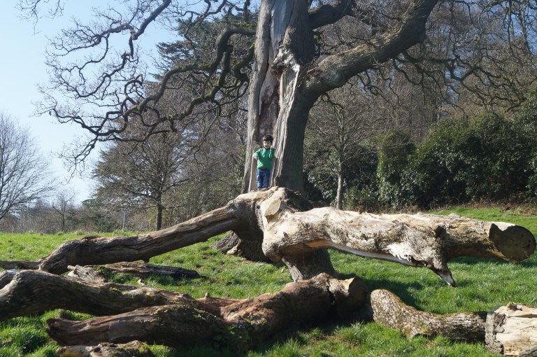 35+ Free & Fun Places to Take Kids in Bristol! | Bristol Mum
