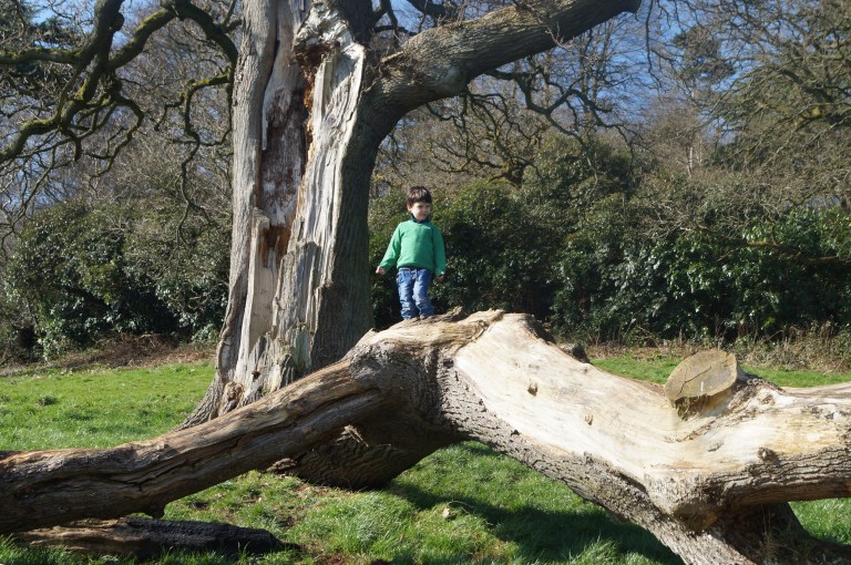 20 Fantastic & Free Places in Bristol to visit with Kids | Bristol Mum