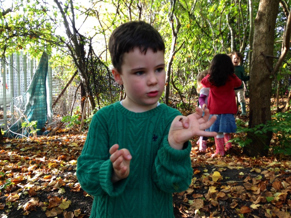 Windmill Hill City Farm, Bedminster: Fantastic for Kids! | Bristol Mum