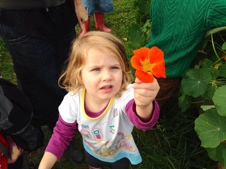 Windmill Hill City Farm, Bedminster: Fantastic for Kids! | Bristol Mum