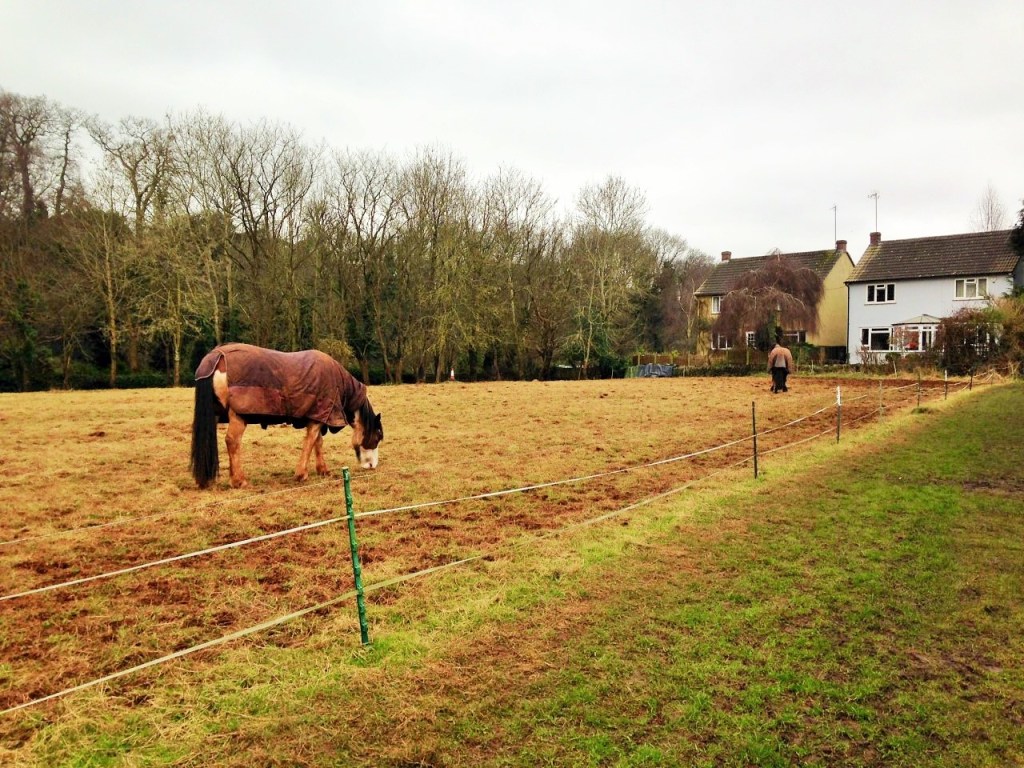 Frenchay Moor: rugged moorland walks and wild adventures | Bristol Mum