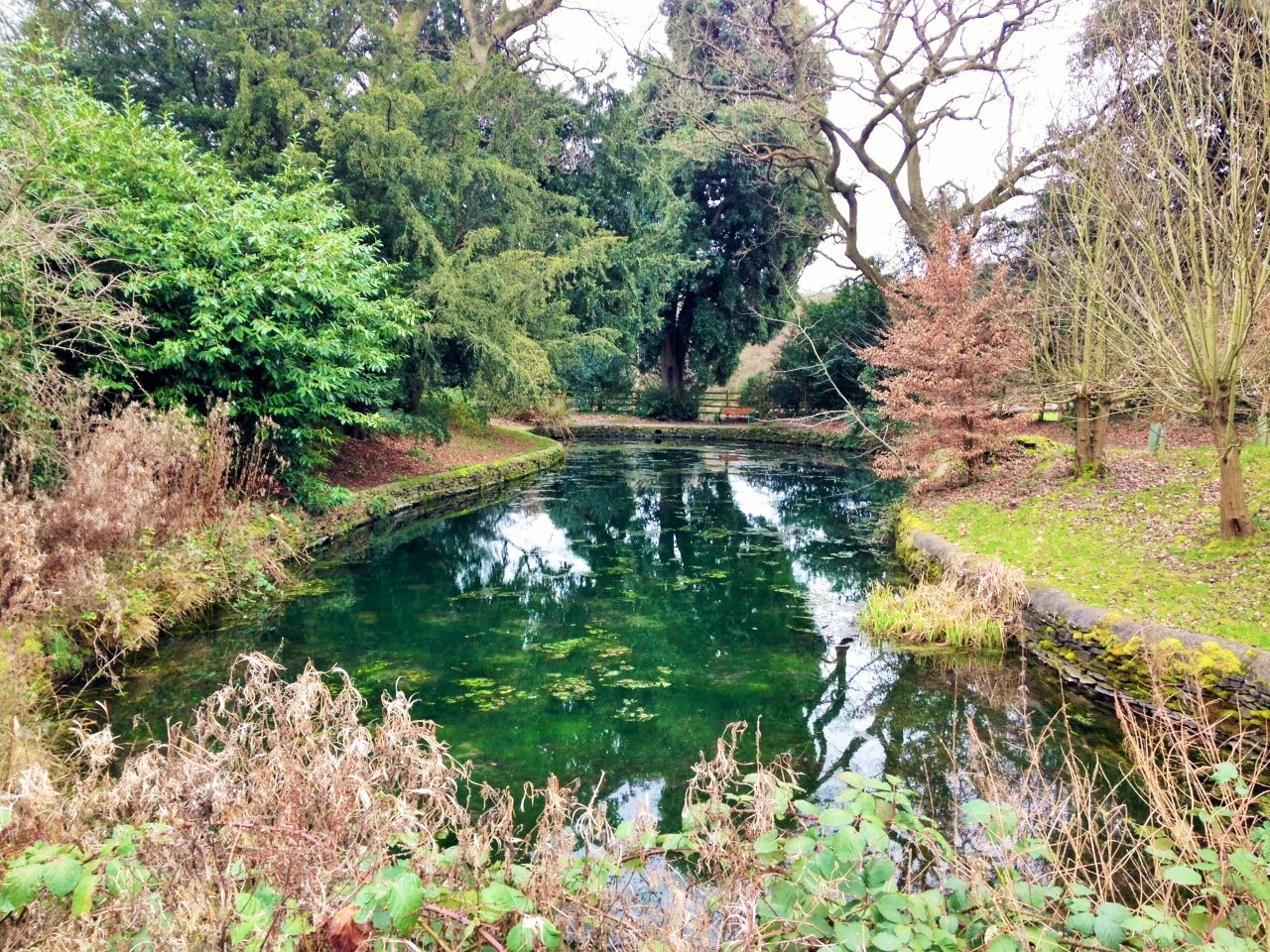 Frenchay Moor: rugged moorland walks and wild adventures | Bristol Mum