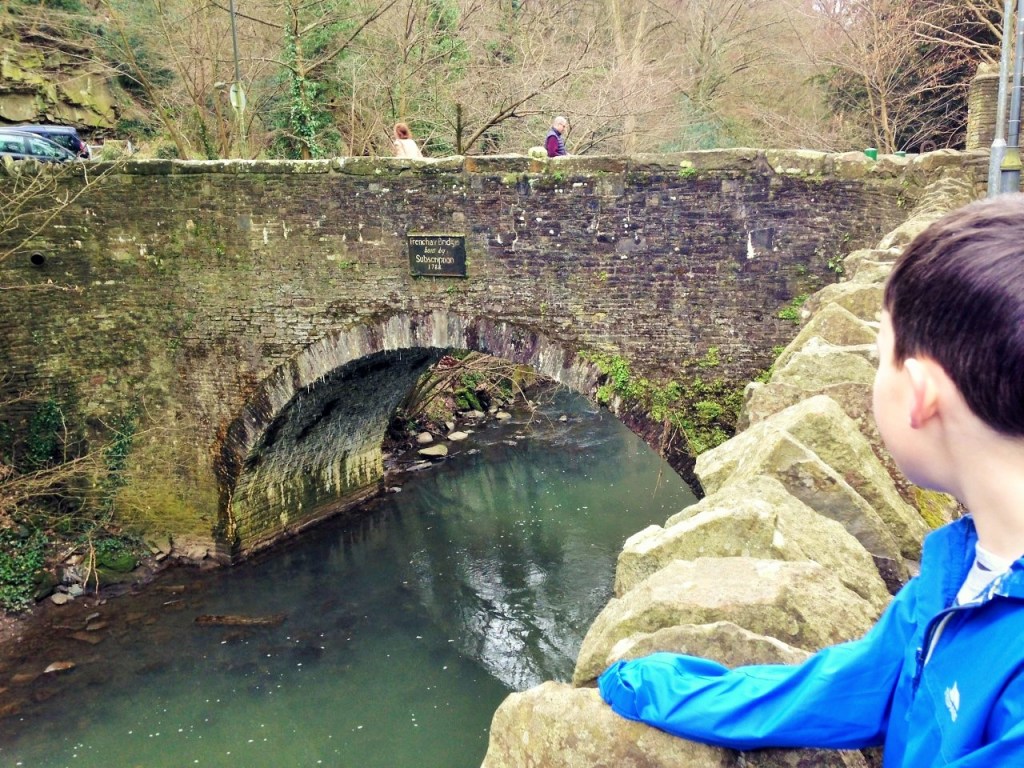 Frenchay Moor: rugged moorland walks and wild adventures | Bristol Mum