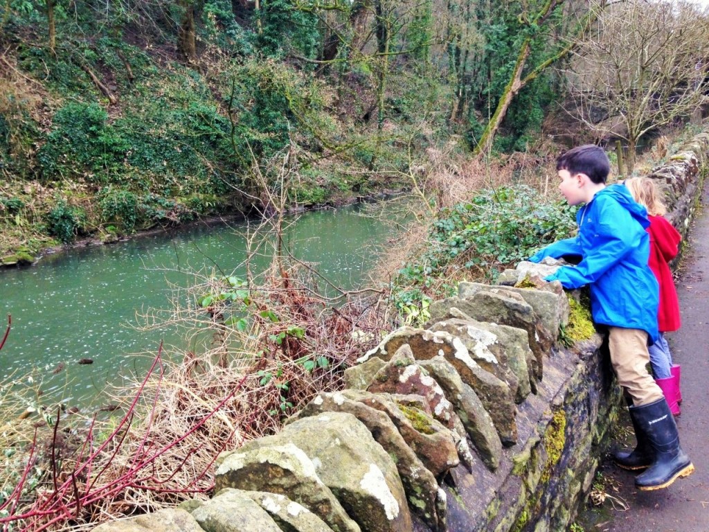 Frenchay Moor: rugged moorland walks and wild adventures | Bristol Mum