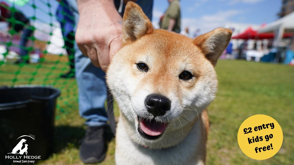 8/9/19: Holly Hedge Fun Day & Dog Show | Bristol Mum
